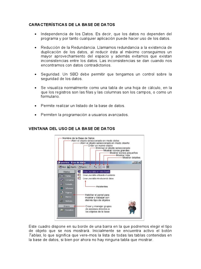 CARACTERÍSTICAS DE LA BASE DE DATOS | PDF | Bases de datos | Ciencias de la Computación