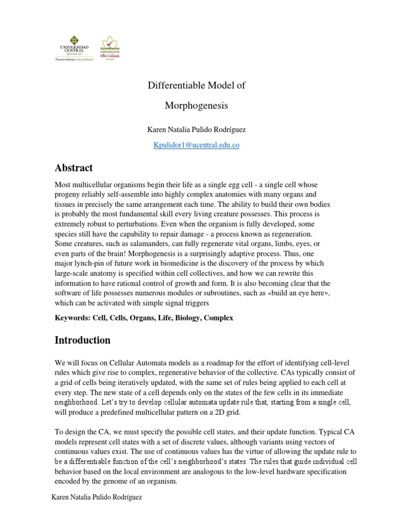 Differentiable Model of Morphogenesis Karen Natalia Pulido Rodriguez | PDF | Artificial Neural ...