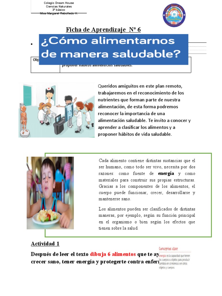 Plan Remoto 6 Adaptación Ficha N°6 Alimentacion Saludable | PDF ...