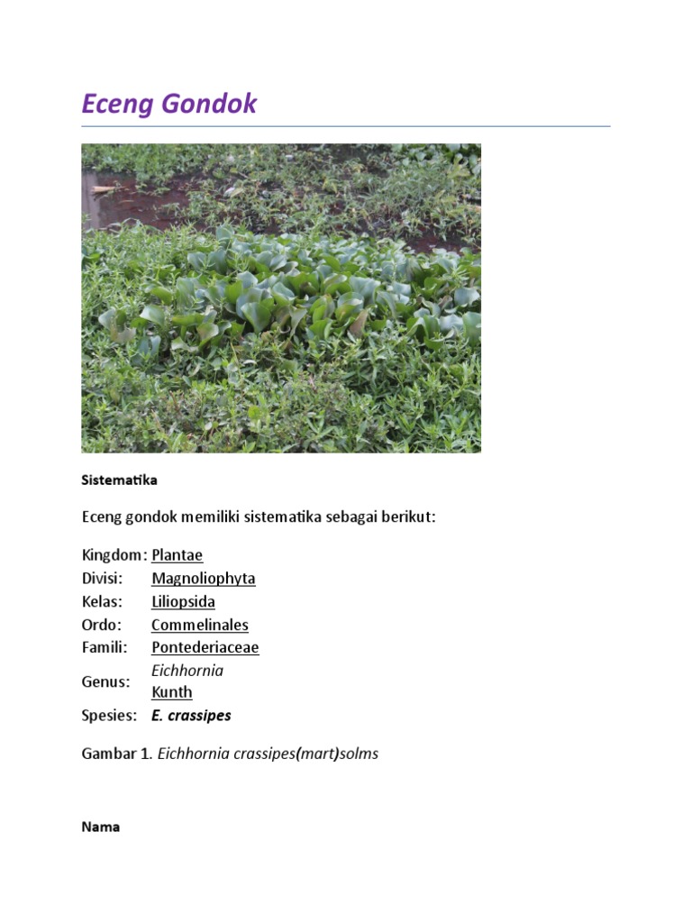 Sistematika dan Perkembangbiakan Eceng Gondok | PDF