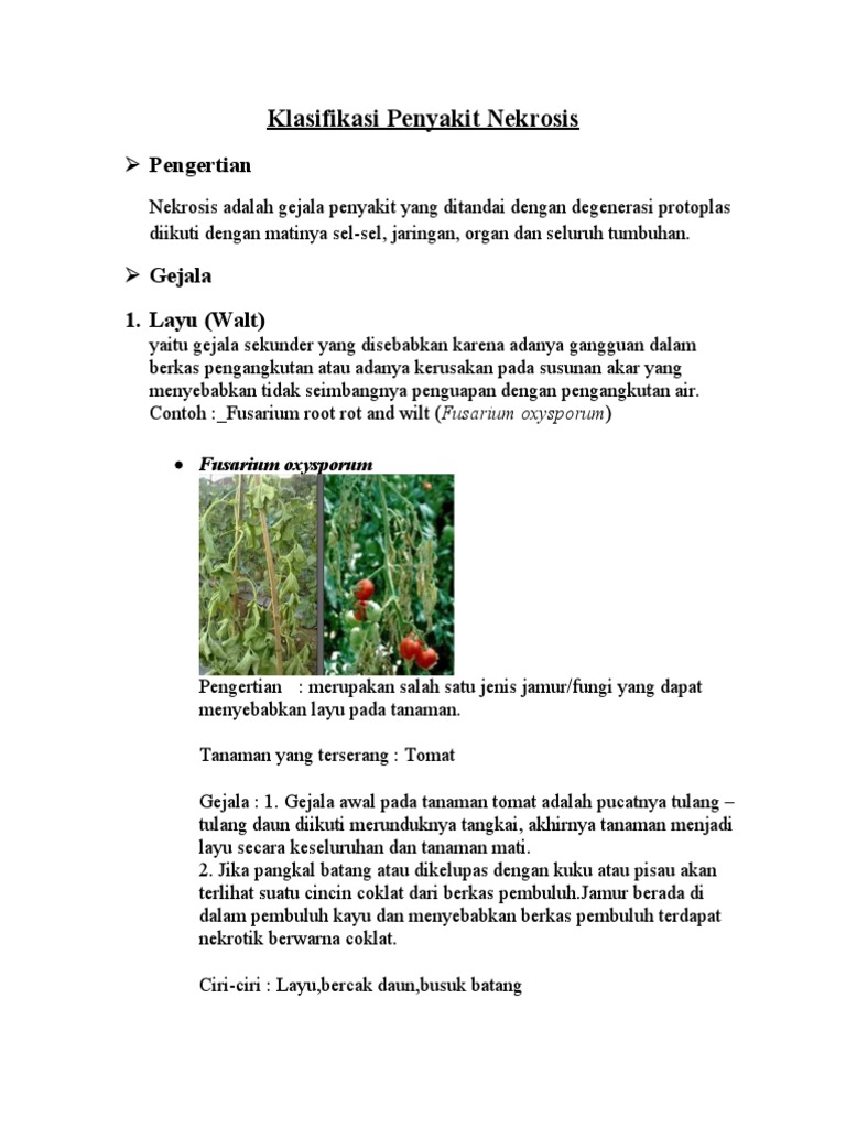 Klasifikasi Penyakit Nekrosis | PDF