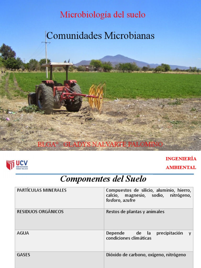 Microbiología Del Suelo | PDF | Suelo | Microorganismo
