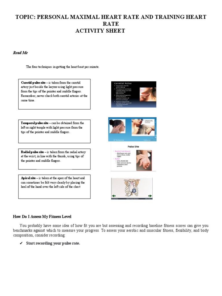 Maximal & Training Heart Rate Guide | PDF | Heart Rate | Heart