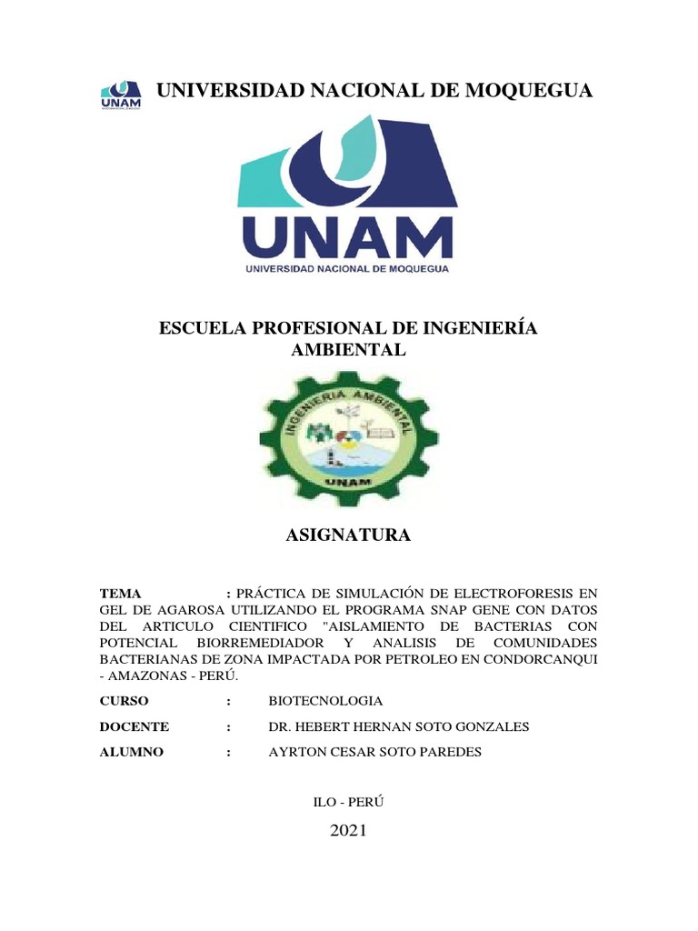 Práctica de Simulación de Electroforesis en Gel de Agarosa Utilizando ...