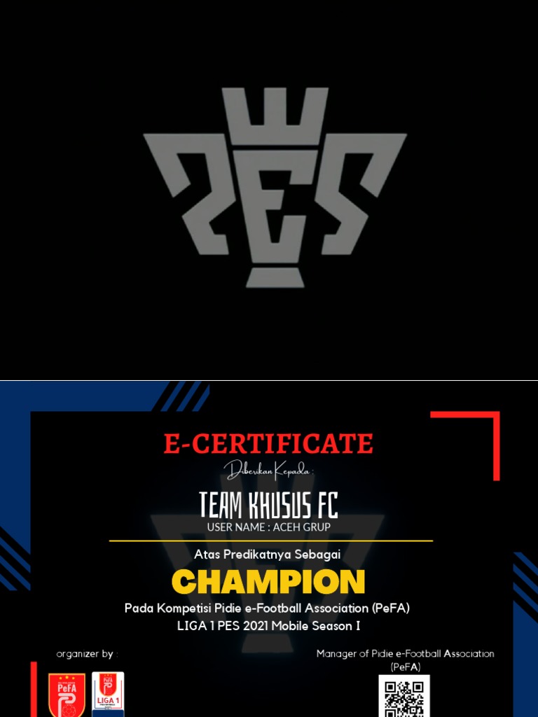 E - Certificate | PDF