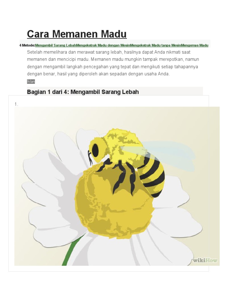 Panduan Lengkap Memanen Madu | PDF