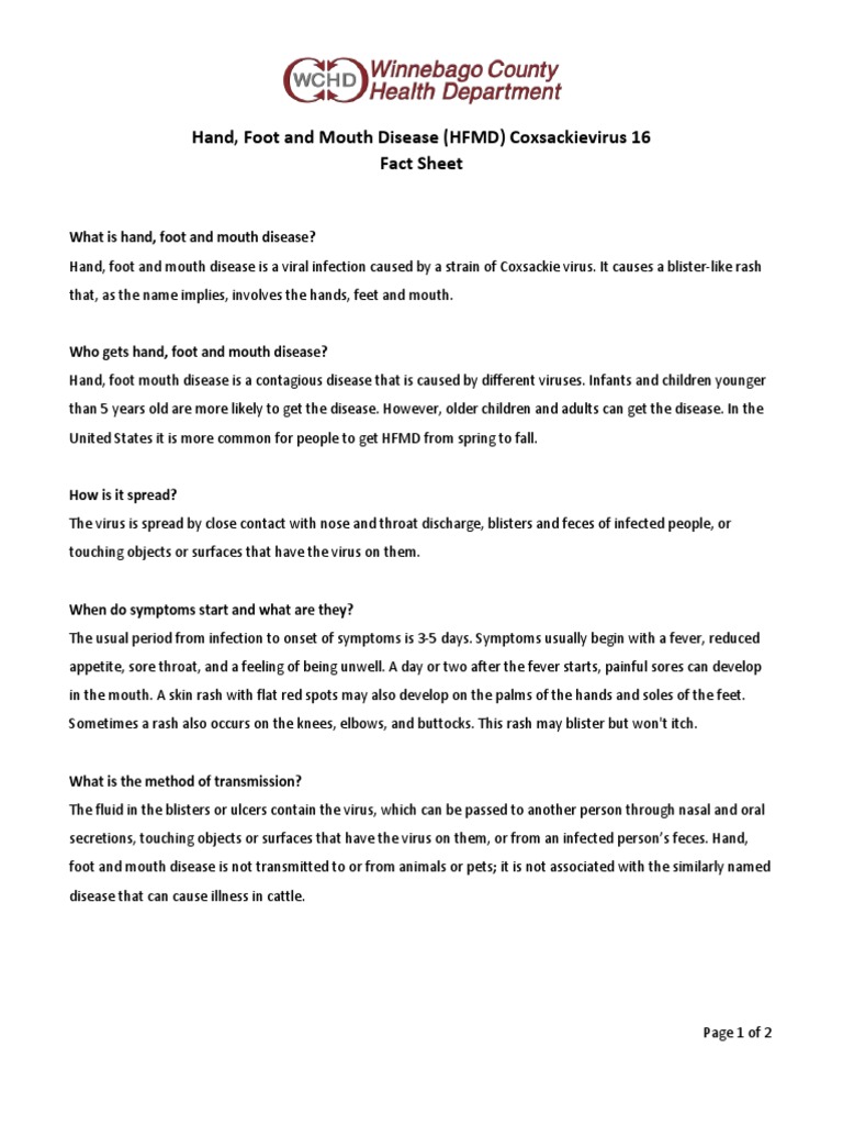 Hand Foot and Mouth Disease Fact Sheet | PDF | Health Sciences | Immunology