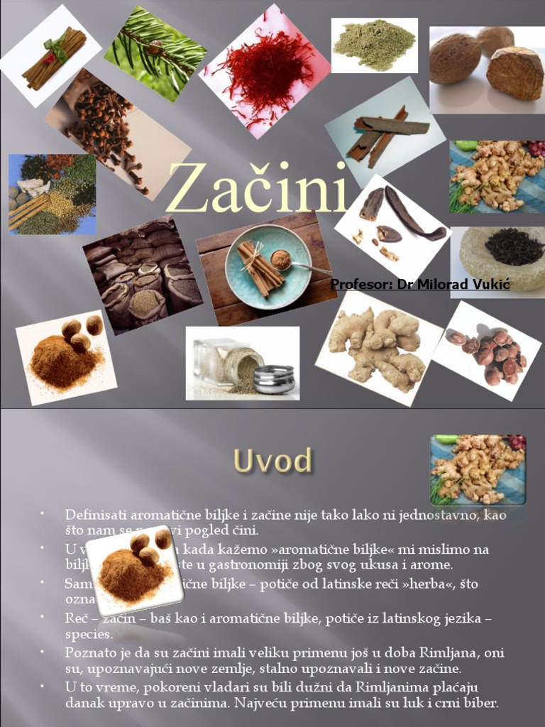 Zacini OPŠTE | PDF