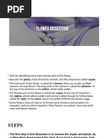 Lily Flower Dissection Guide | PDF