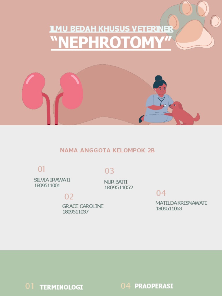 Prosedur Nephrotomy pada Hewan | PDF