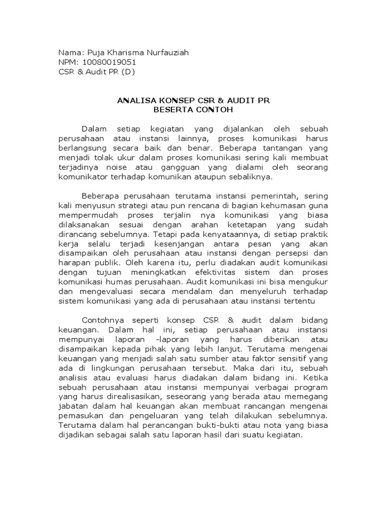 Tugas CSR Dan Audit Ke 1 | PDF