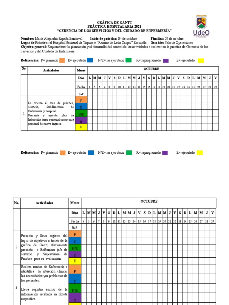 Grafica de Gantt Tiqui Gerencia | PDF | Enfermería | Cuidado de la salud