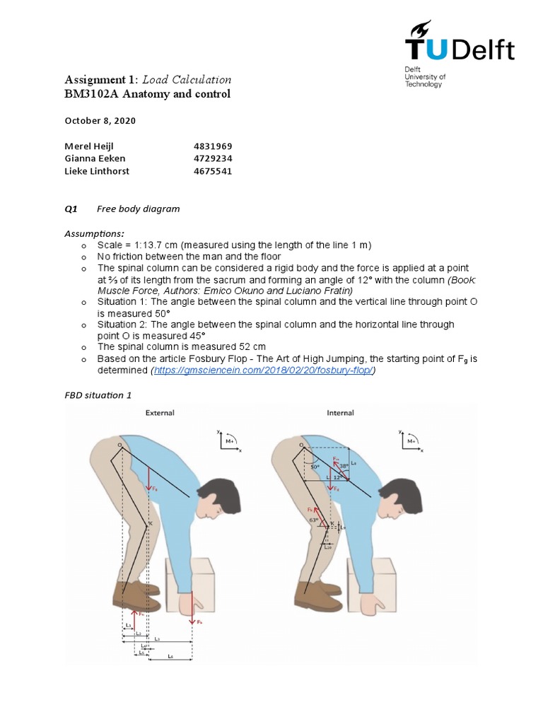 Load Calculation Assignment | PDF
