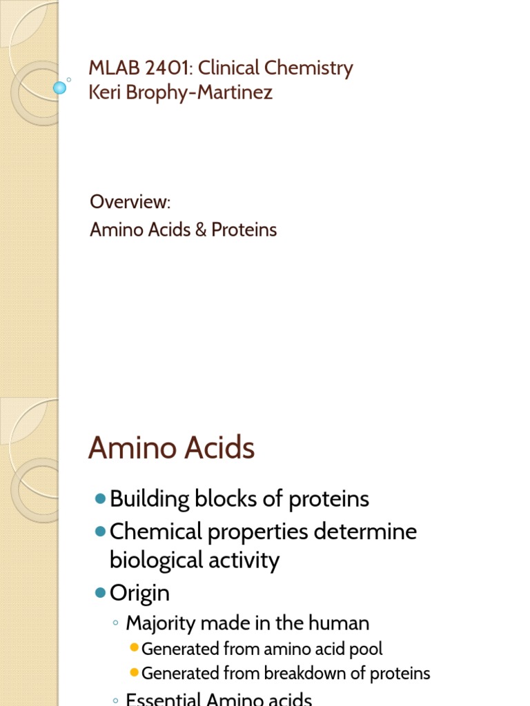 Amino Acids and Proteins Overview Part 1 | PDF | Proteins | Amino Acid