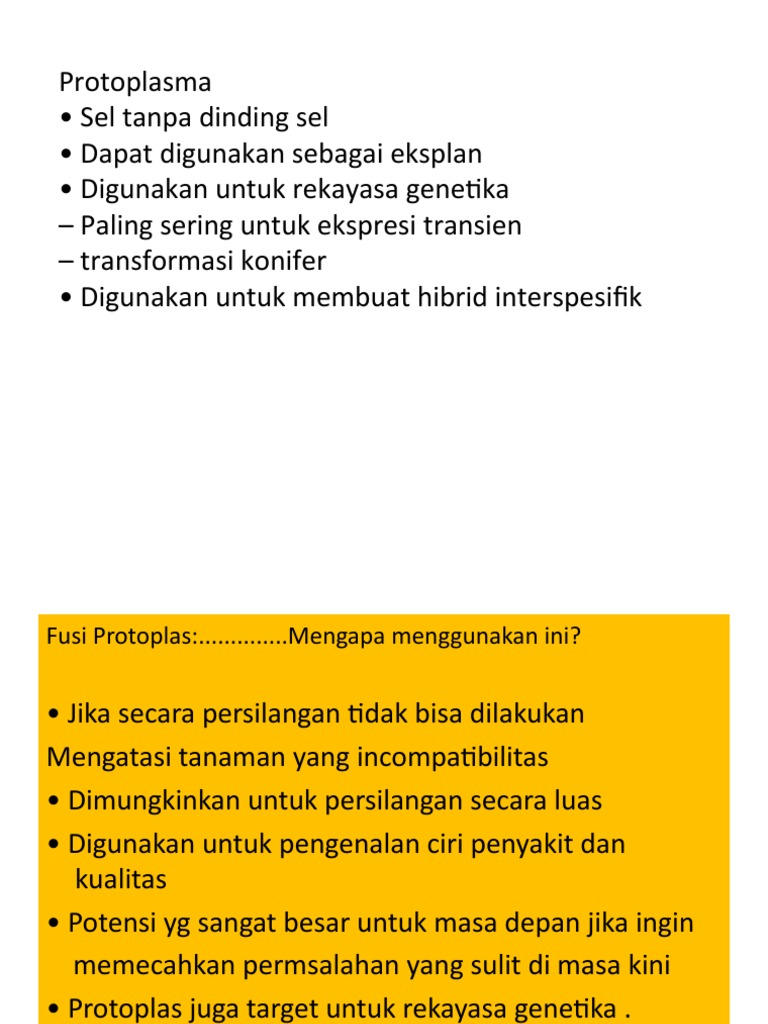 5.fusi Protoplas4 | PDF