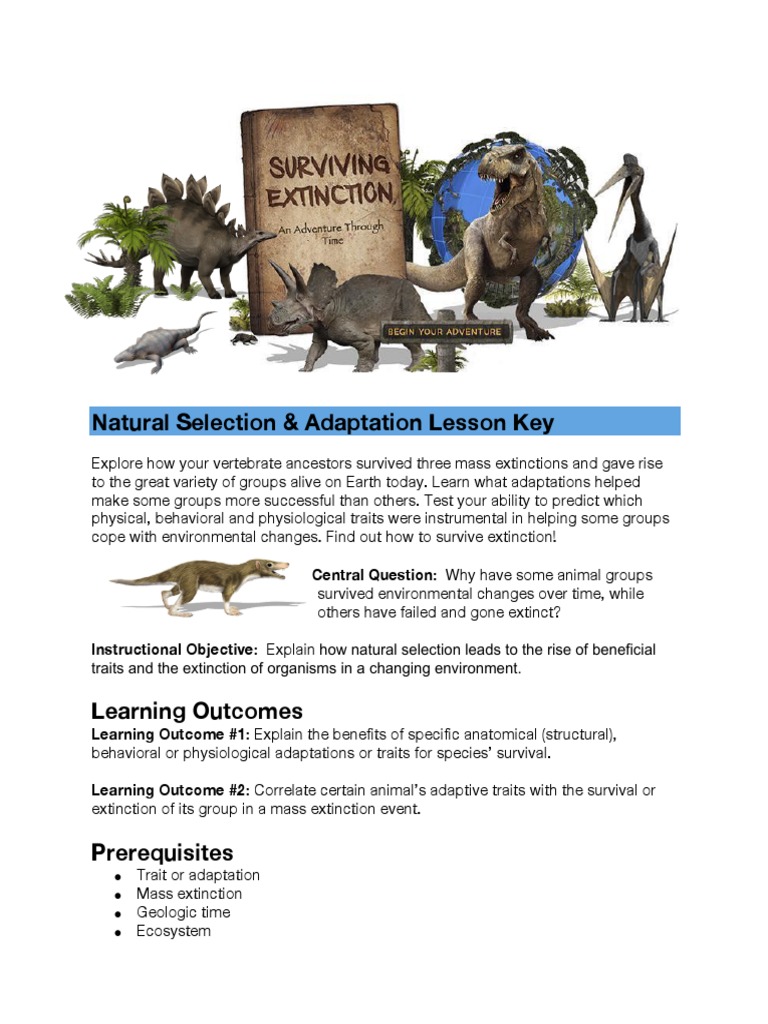Natural Selection & Adaptation Lesson Key: Central Question: Why Have ...