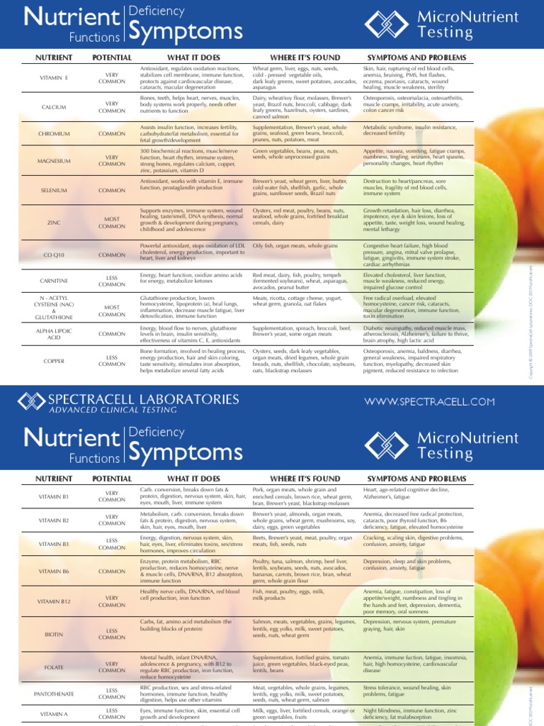 0e2008085 Document 303 Nutrient Chart | PDF | Whole Grain | Vitamin B12