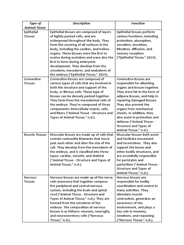 Types of Animal Tissue and Functions | PDF | Tissue (Biology ...