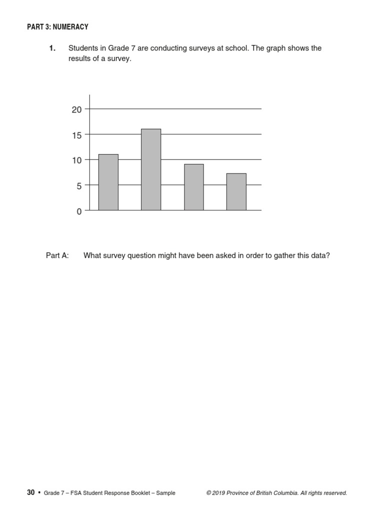 FSA Sample - Numeracy Practice2020 | PDF | Neuropsychological ...