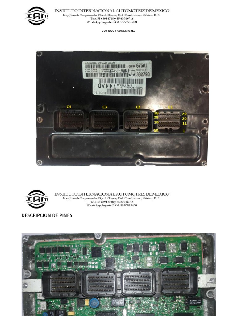 ECU NGC 4 conectores y pines | PDF