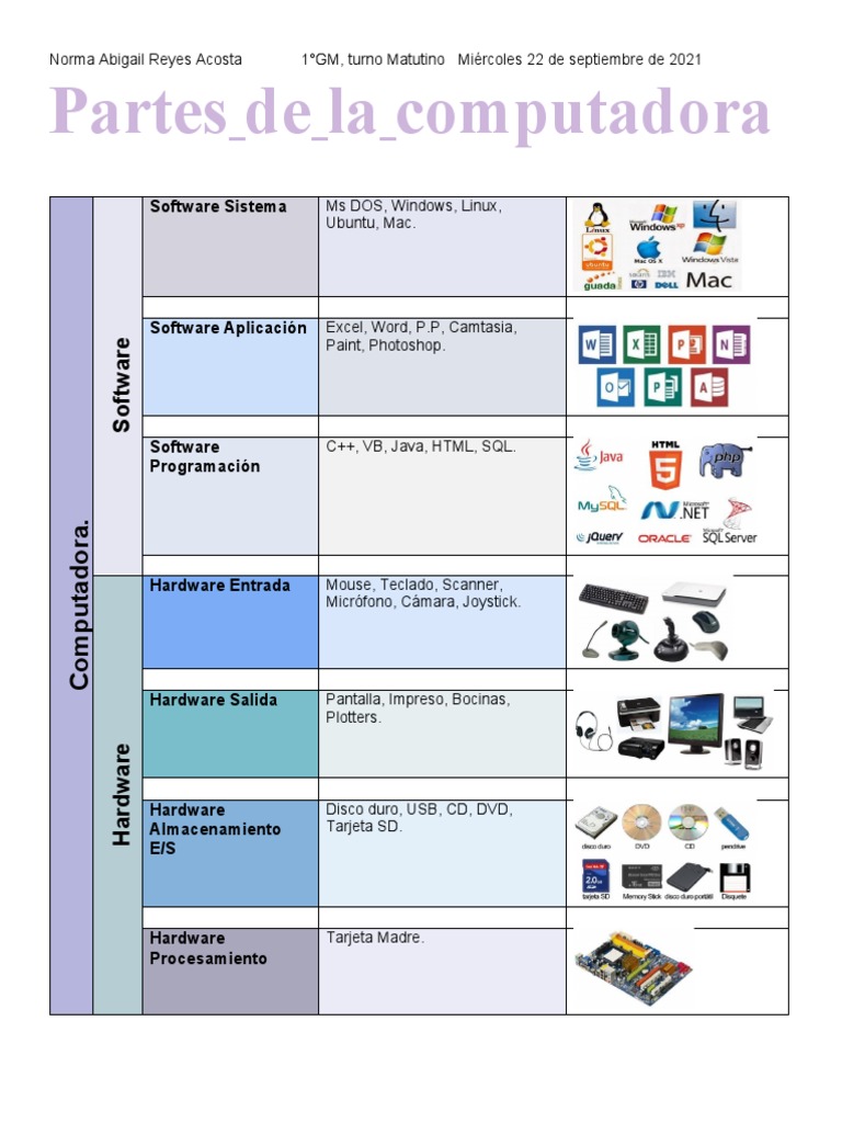Formato Computadora | PDF