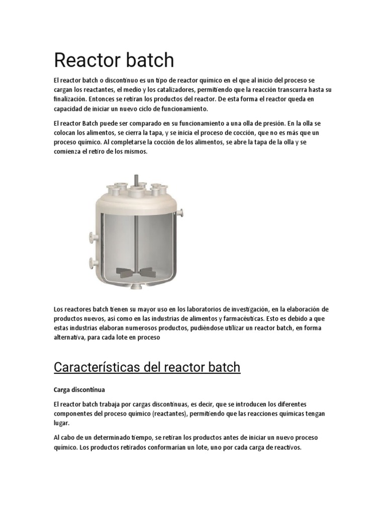 Reactor Batch | PDF | Reactor Quimico | Química