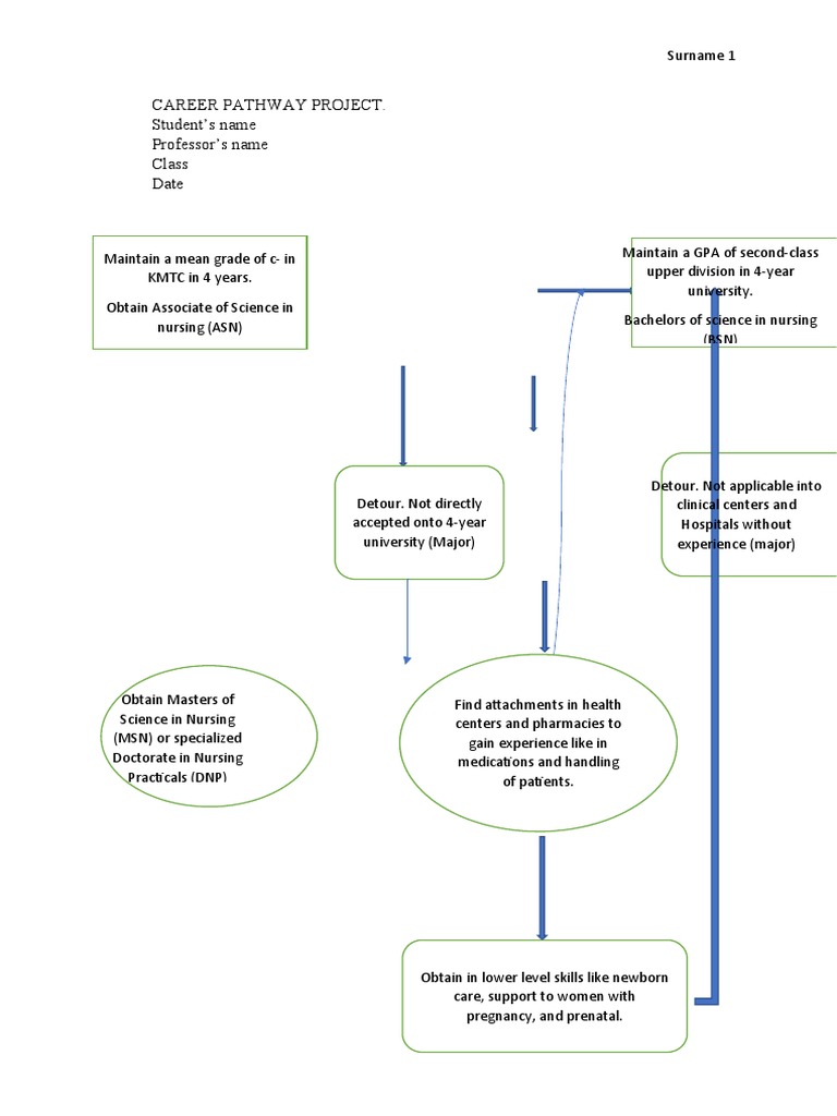 Nurse Career Pathway Project | PDF | Nursing | Health Care
