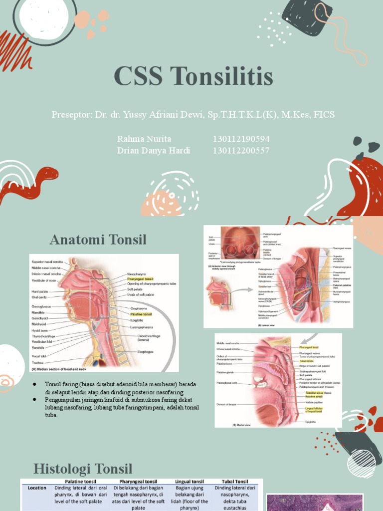 CSS - Tonsilitis | PDF