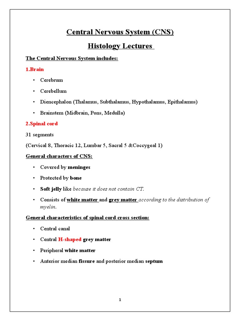 1-NEU-Histology Lecture CNS (1, 2, 3, 4 & 5) 2021-2022 | PDF | Spinal Cord | Somatosensory System