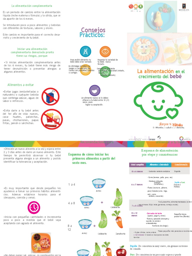 Triptico Alimentacion Complementaria | PDF | Alimentos | Comida regional y étnica