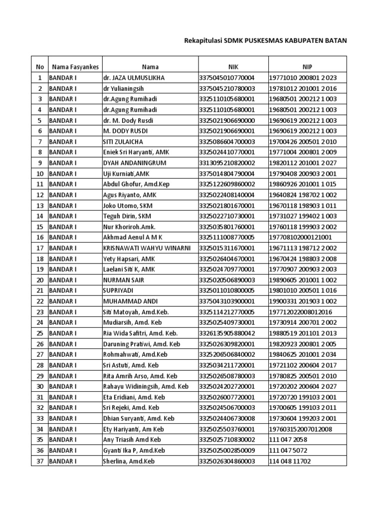SDMK Di Puskesmas Tahun 2019 | PDF