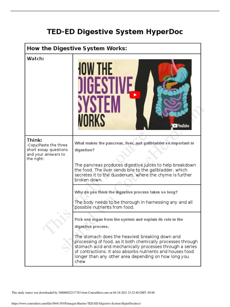This Study Resource Was: Ted-Ed Digestive System Hyperdoc | PDF ...