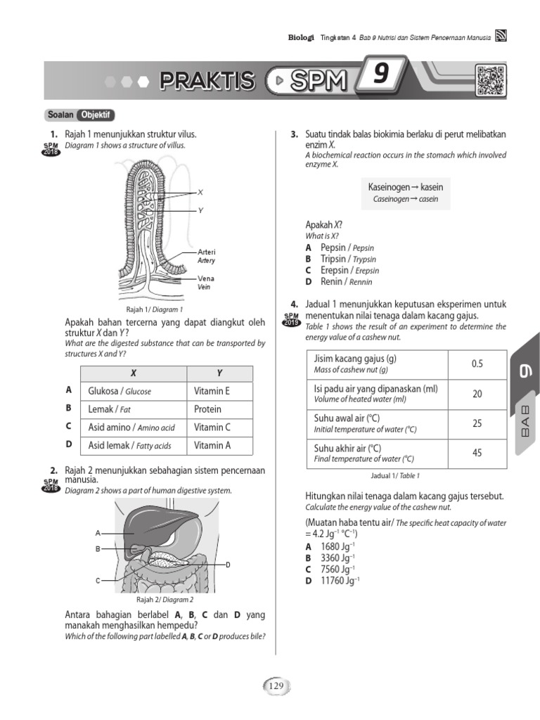 Latihan Bab 9 Biologi Tingkatan 4 KSSM | PDF | Trypsin | Biology