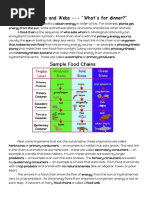5 Points of Natural Selection - Answer Key | PDF | Natural Selection ...