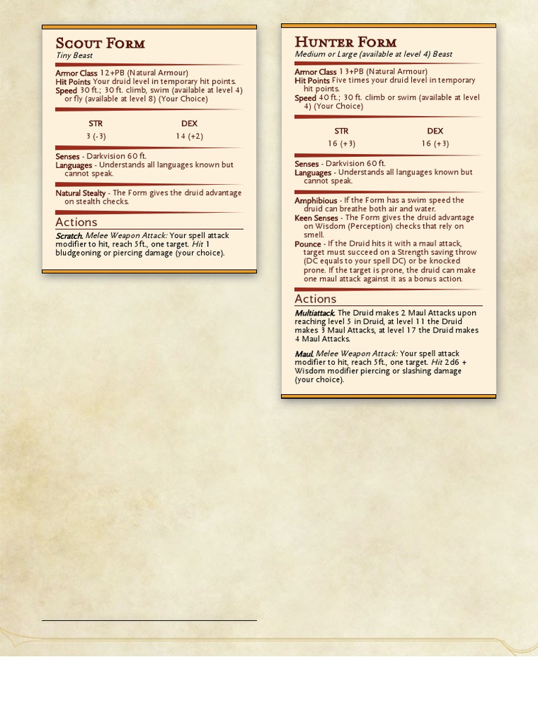 Druid Wild Shape Options: Comparing the Features and Abilities of ...