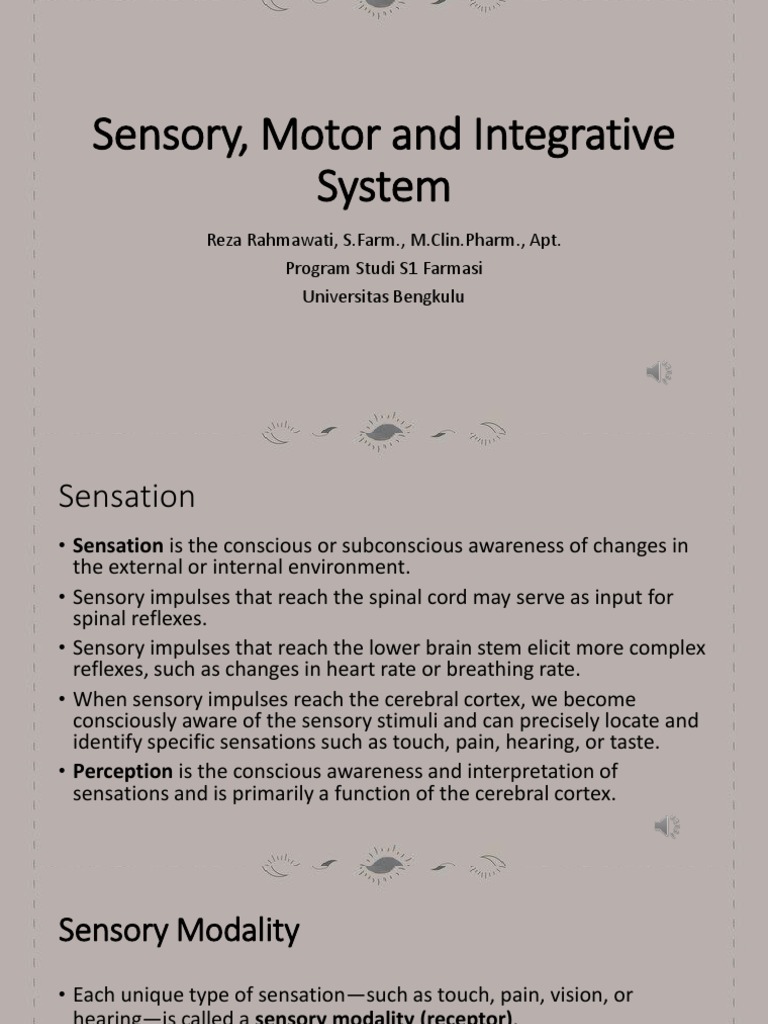 Understanding Sensory and Motor Systems | PDF | Senses | Somatosensory ...