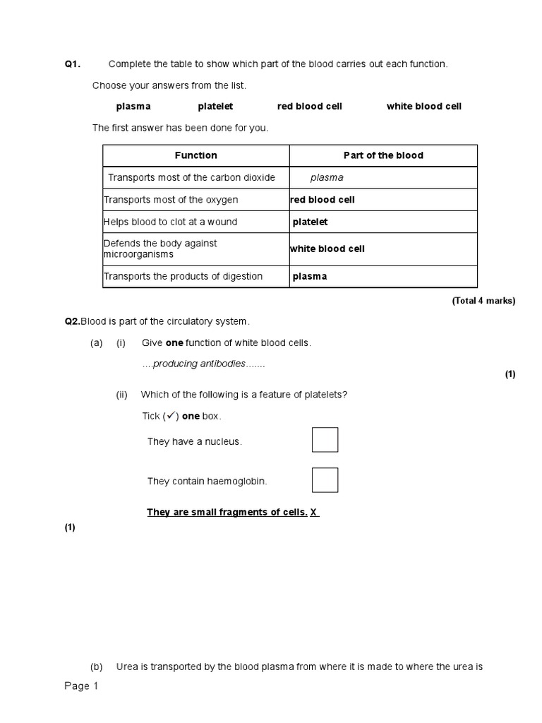 Blood - GCSE-Questions - 1.Rtf - Biology 1 | PDF | Blood | Blood Cell