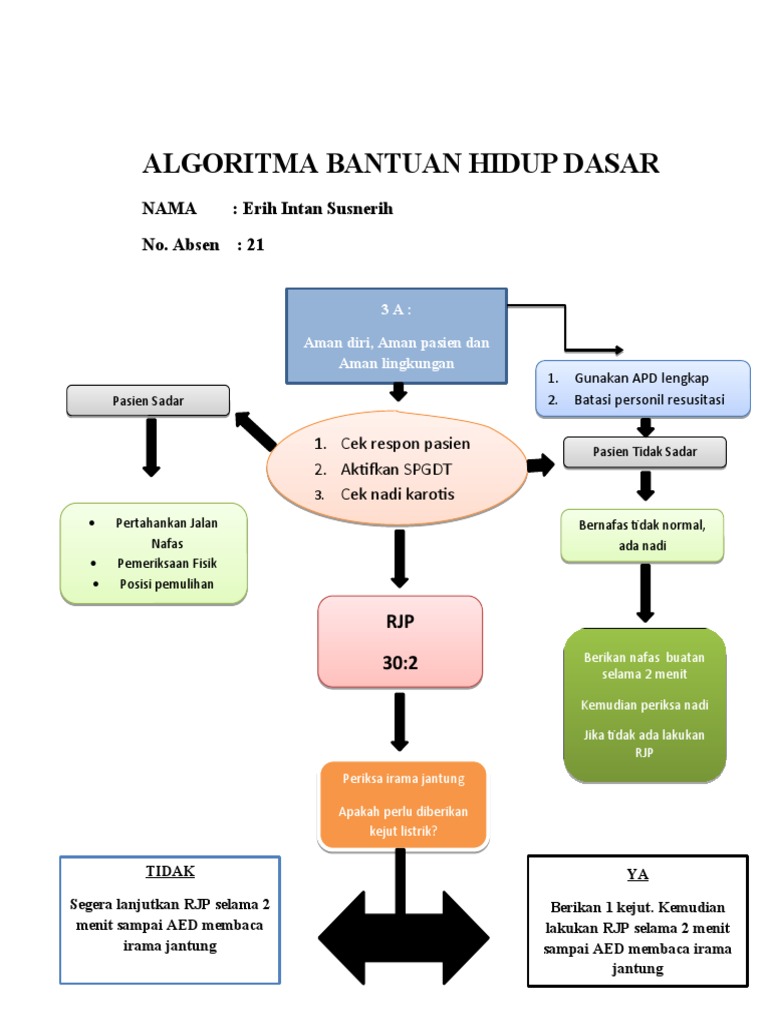 Algoritma Bantuan Hidup Dasar - Erih Is | PDF