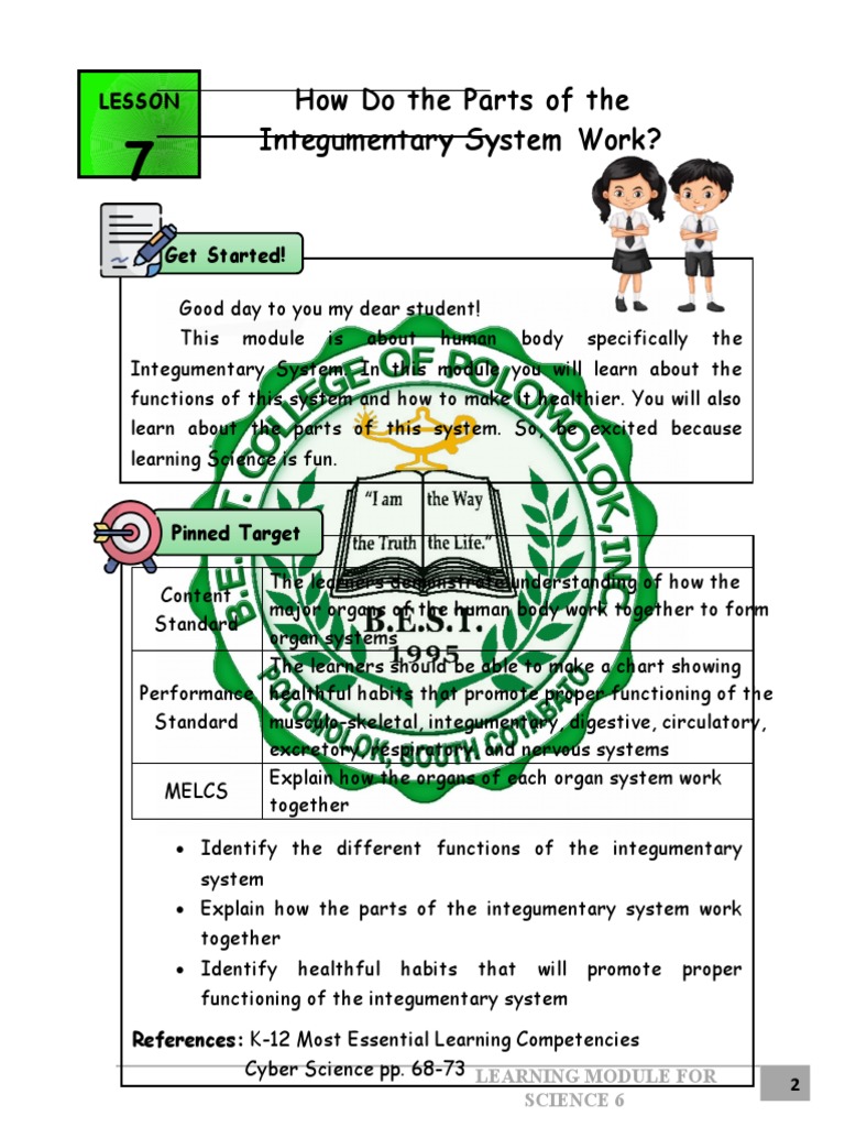 How Do The Parts of The Integumentary System Work?: Lesson | Download ...
