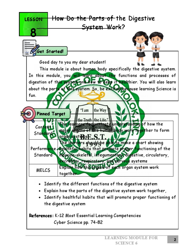 How Do The Parts of The Digestive System Work?: Lesson | PDF ...
