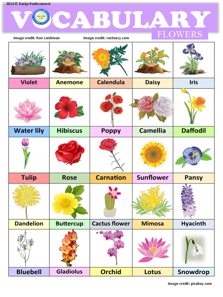 Flowers - Vocabulary Worksheet | PDF
