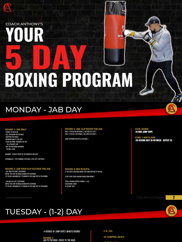5 Day Boxing Program | PDF | Sports | Combat