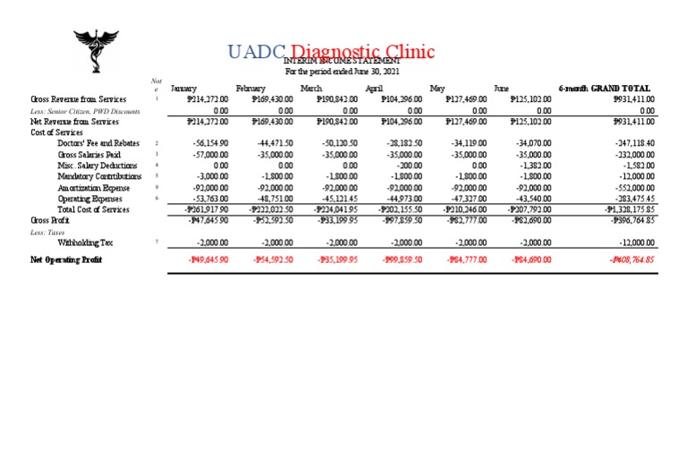 Interim Income Statement | PDF | Revenue | Business