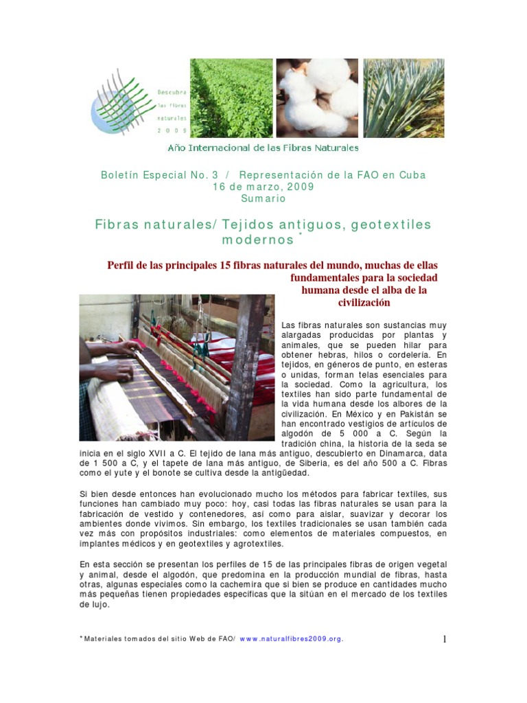 Fibras Naturales | PDF | Seda | Textiles