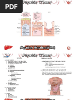 4 Kuadran Dan 9 Regio Pada Abdomen | PDF