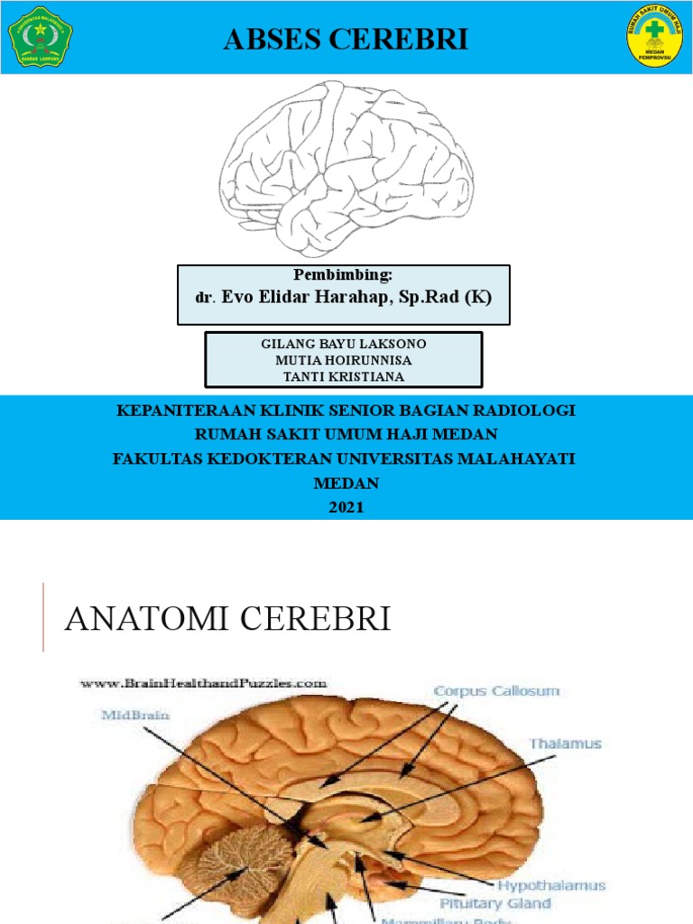 Abses Cerebri: Definisi dan Penanganan | PDF | Pengembangan Diri ...