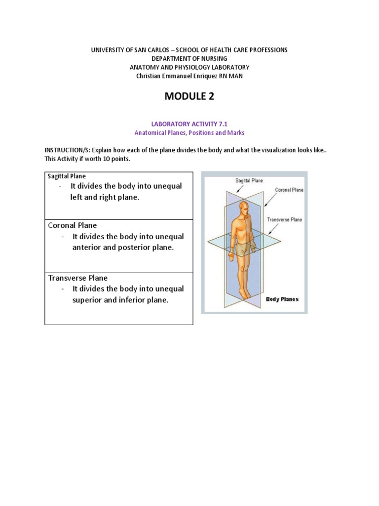 It Divides The Body Into Unequal Left and Right Plane.: Anatomical ...