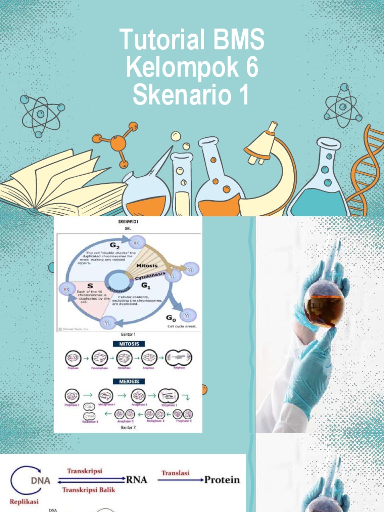 6 Tutorial 1 BMS | PDF