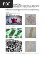 Nursing Care Plan - PCAP | PDF | Pneumonia | Respiratory Tract