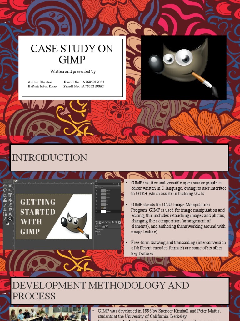 Case Study On Gimp | PDF | Adobe Photoshop | Computing
